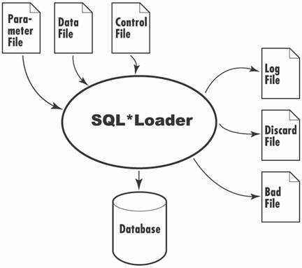 【转】SQL Loader utility-阿里云开发者社区
